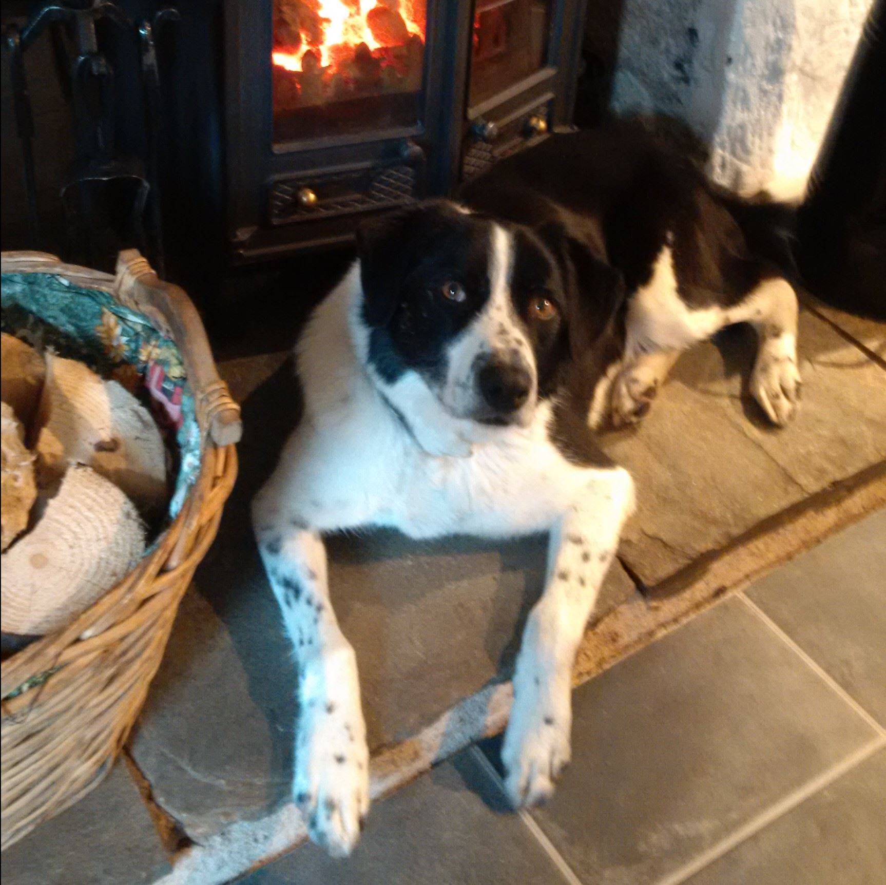 Rose Cottage Croft. Brodie's Hearth