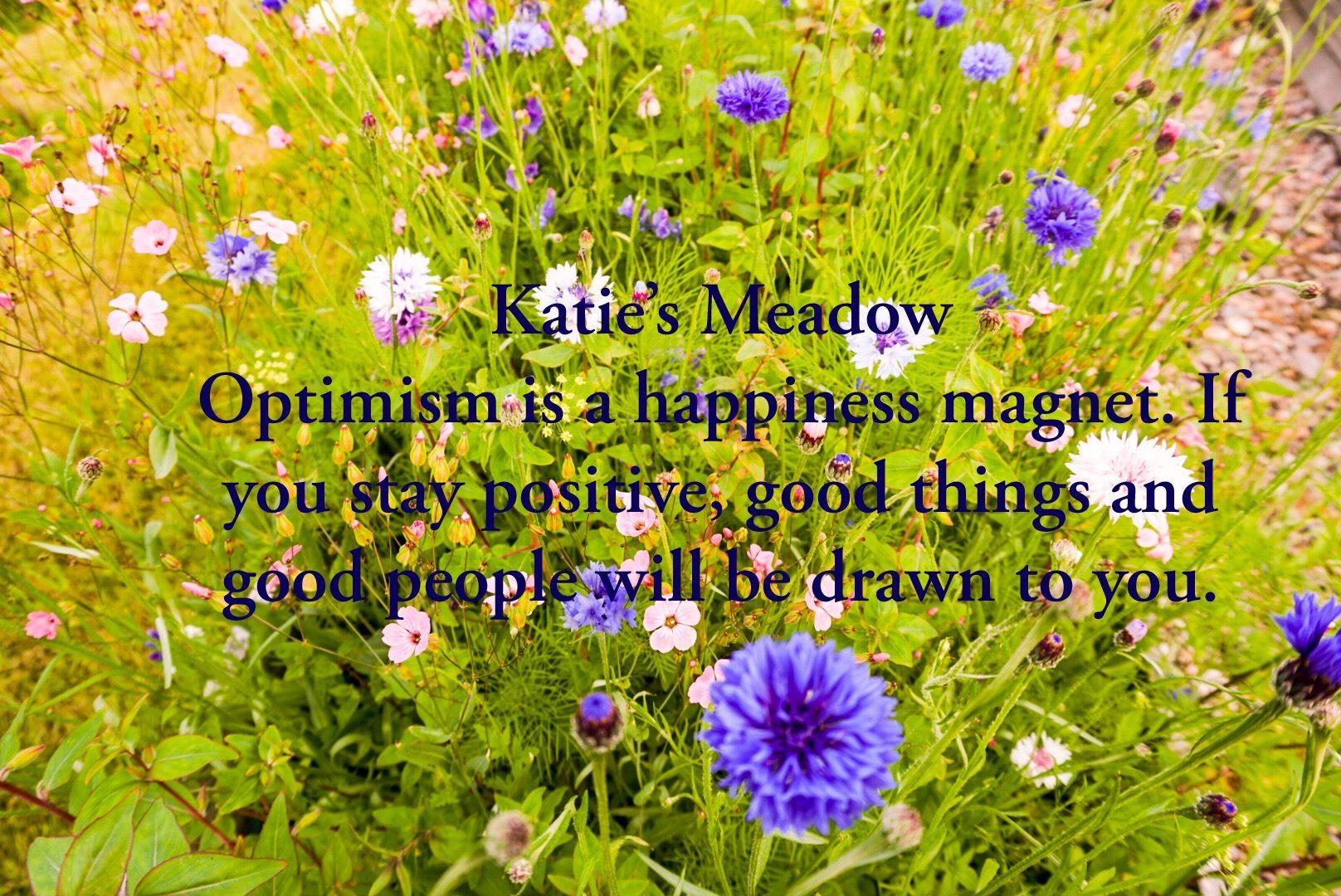 Rose Cottage Croft. Katie's Meadow