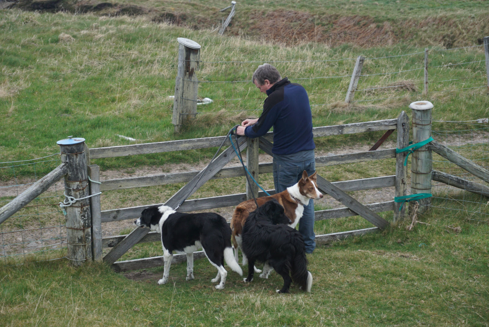 Rose Cottage Croft. Morning Walk